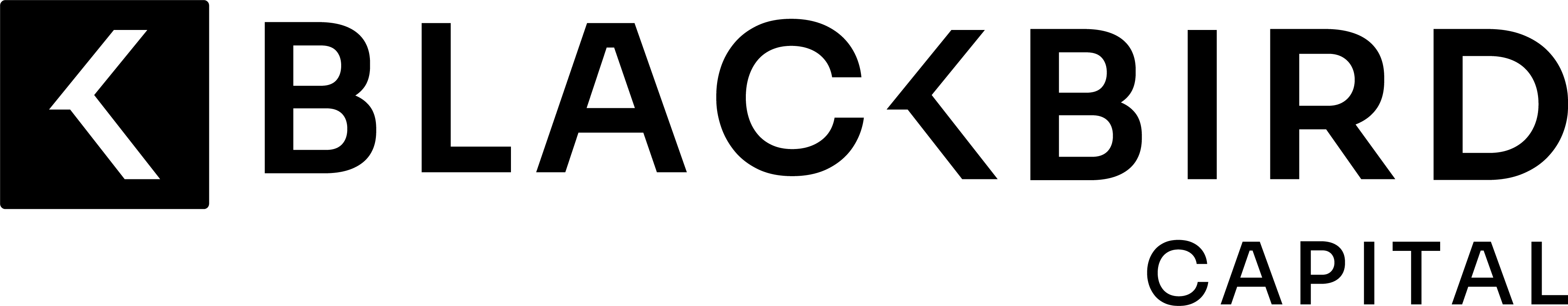 BlackBird Capital - Asset Management. Finance Solutions